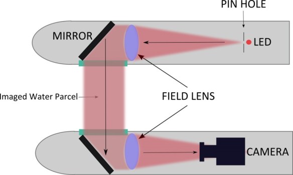 Why do the images look the way they do? | Plankton Portal